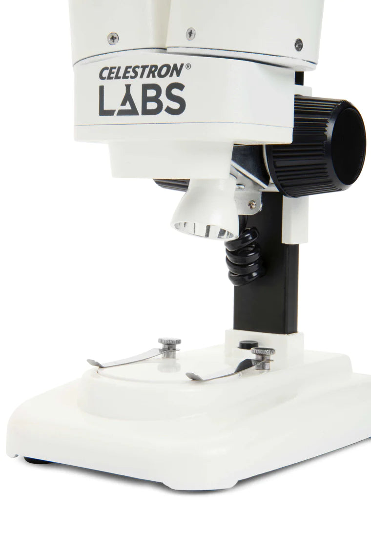 S20 Stereo Microscope| Eugene Toy & Hobby