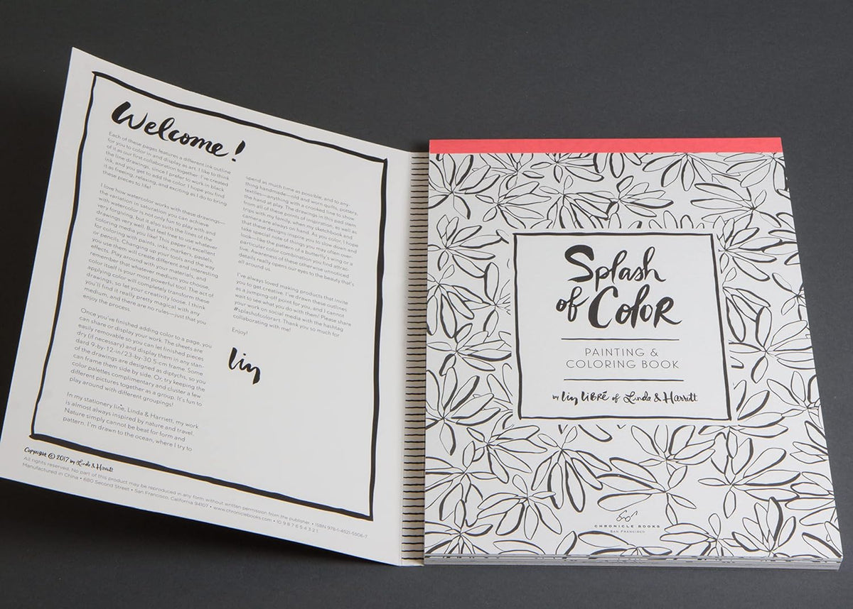 Splash of Color Painting & Coloring Book| Eugene Toy & Hobby