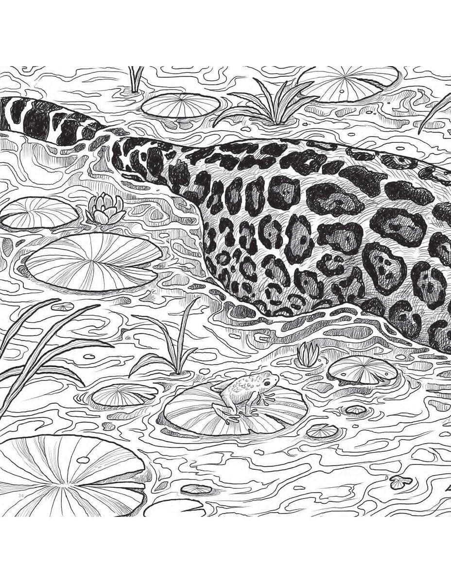 Fragile World Coloring Book| Eugene Toy & Hobby