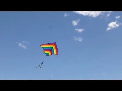 Delta with Spinning Tail 46" Kite (Assorted Colors)| Eugene Toy & Hobby